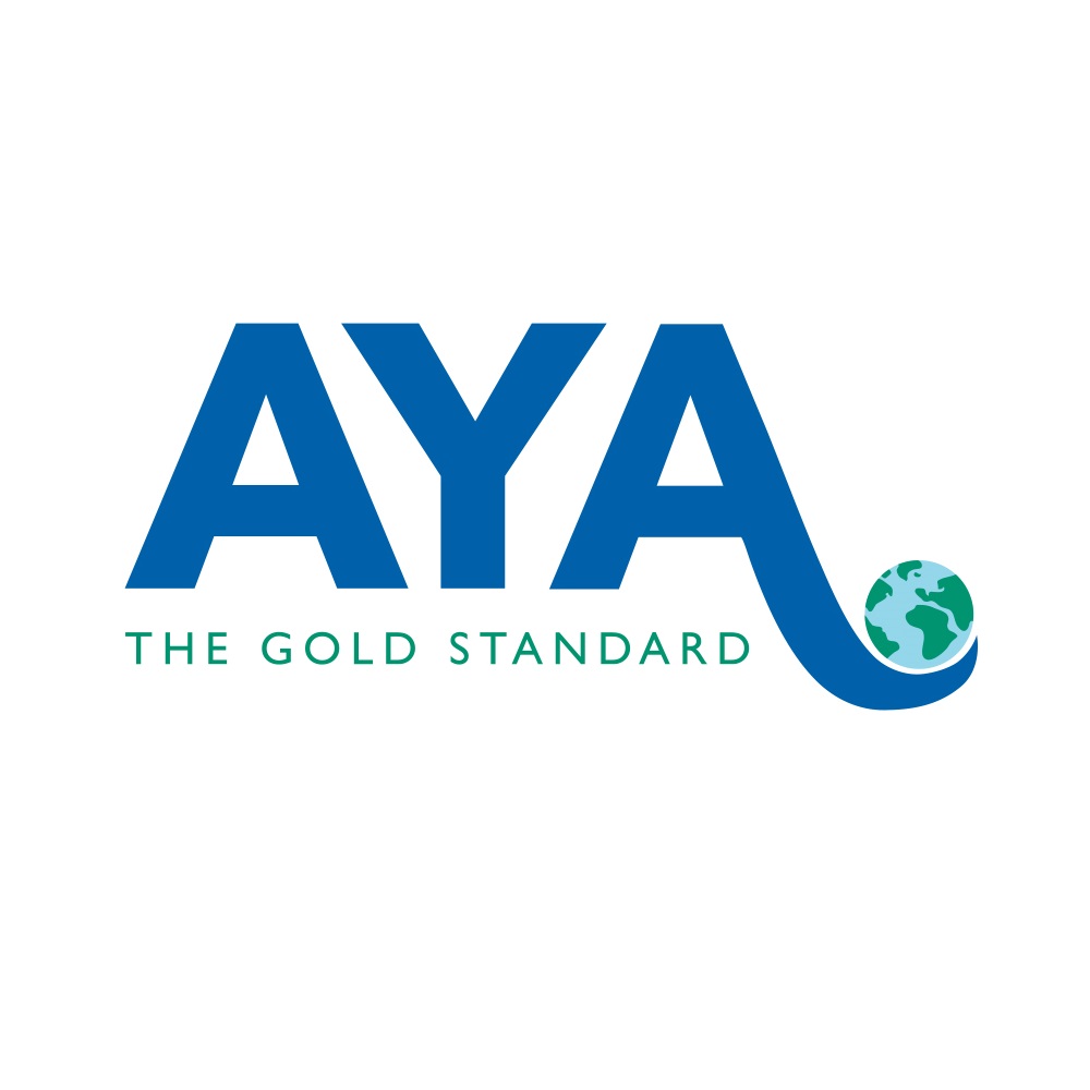 Strona główna - Academic Year in America